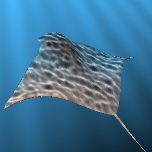 Manta Ray - MATLAB Shorts Mini Hack